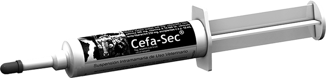 CEFA-SEC | PEV