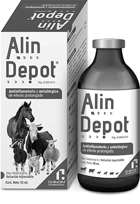 ALIN DEPOT | PLM - Veterinario