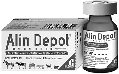 ALIN DEPOT | PLM - Veterinario