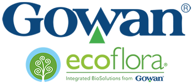 CAPSIALIL EC | PLM - Orgánico