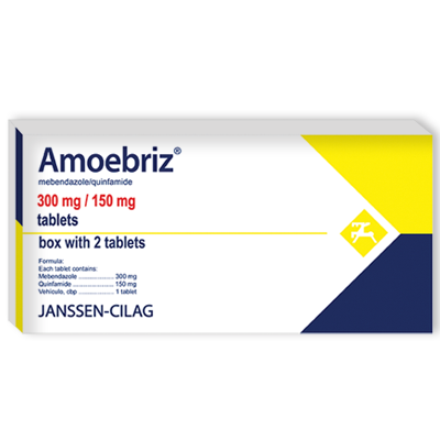 AMOEBRIZ - PLM