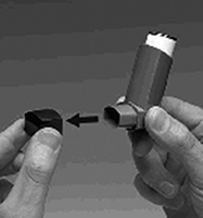 FLIXOTIDE INHALADOR - PLM