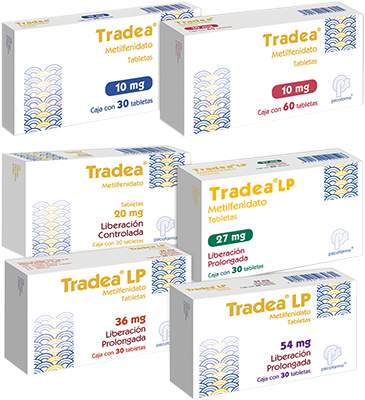 TRADEA LP - PLM