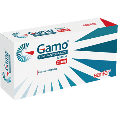 GAMO - PLM