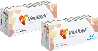 VENIBYK - PLM