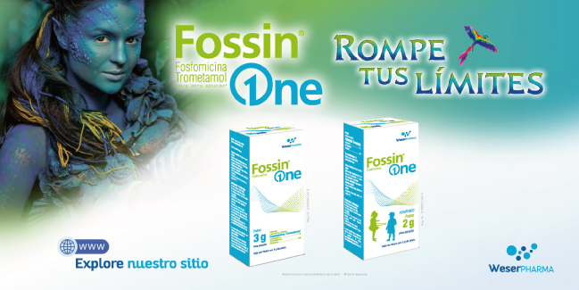 FOSSIN ONE - PLM