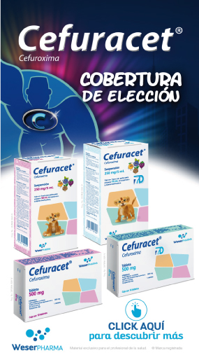 CEFURACET - PLM